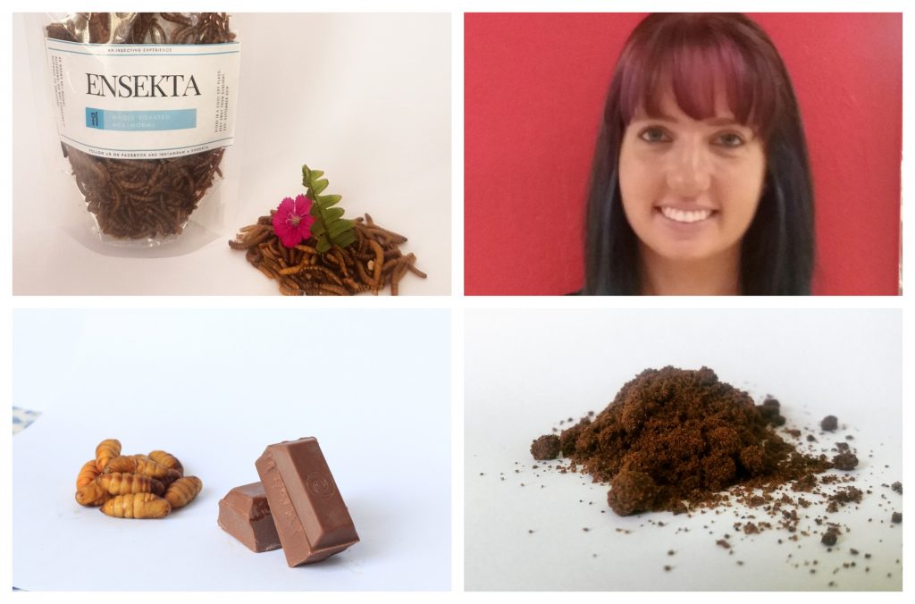 The culture of eating insects in South Africa – Mzansi Agriculture Talk