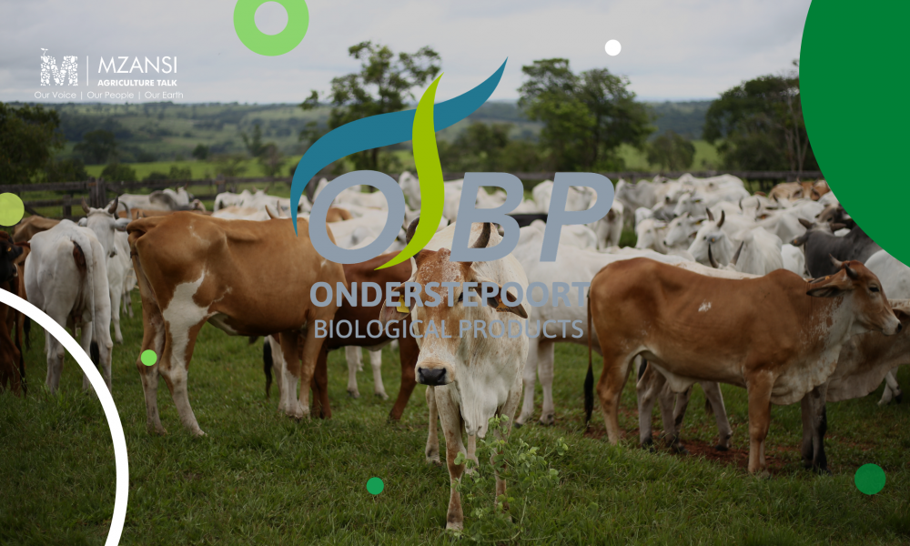 OBP signs agreement with Moredun Institute to Acquire the Technology ...