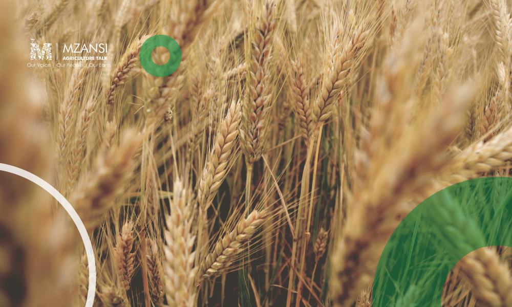 Competition Commission gives Rand Agri Holdings green light to acquire ...